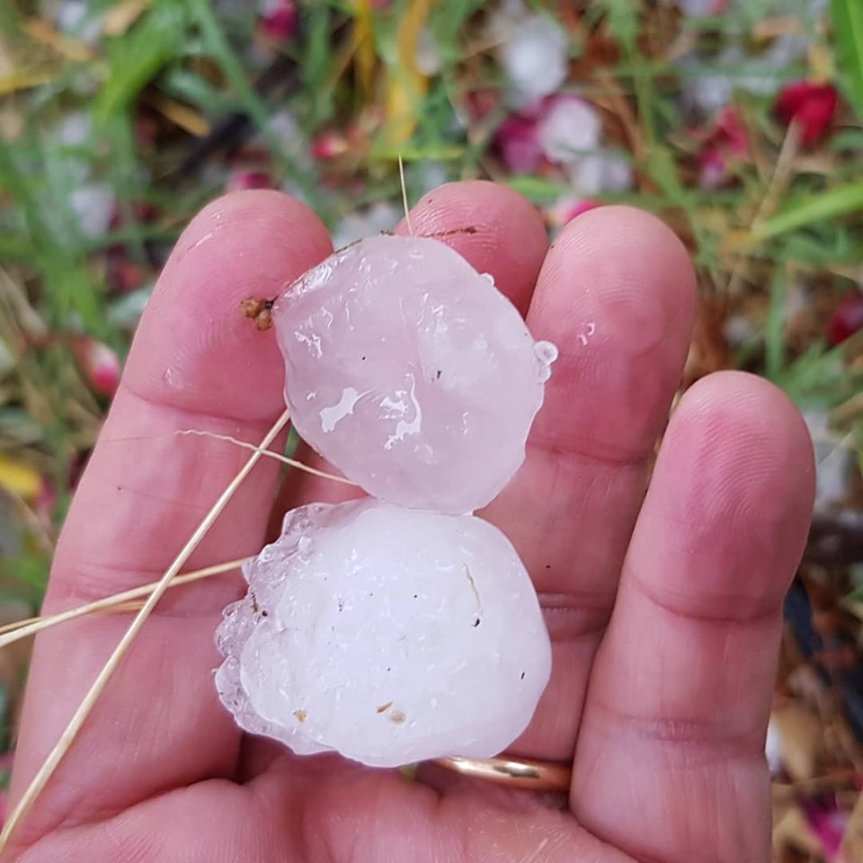 Downburst su Modena città, tanta grandine e danni - SulPanaro | News